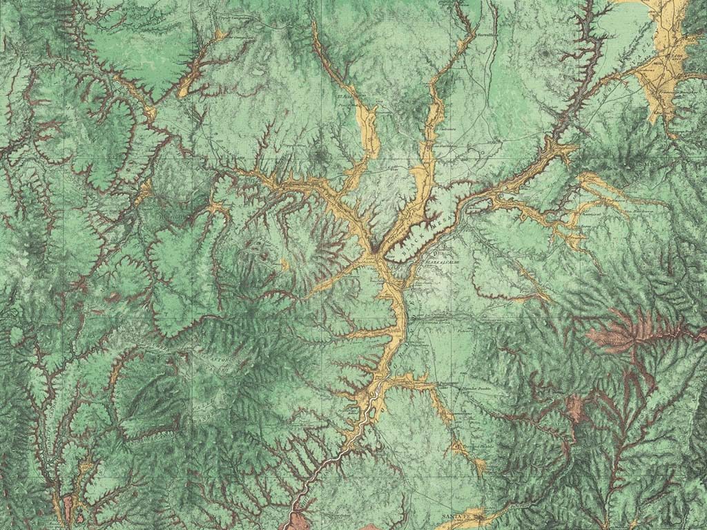 Mural Mapa Bosque color Verde y Tierra. Estilo Vintage